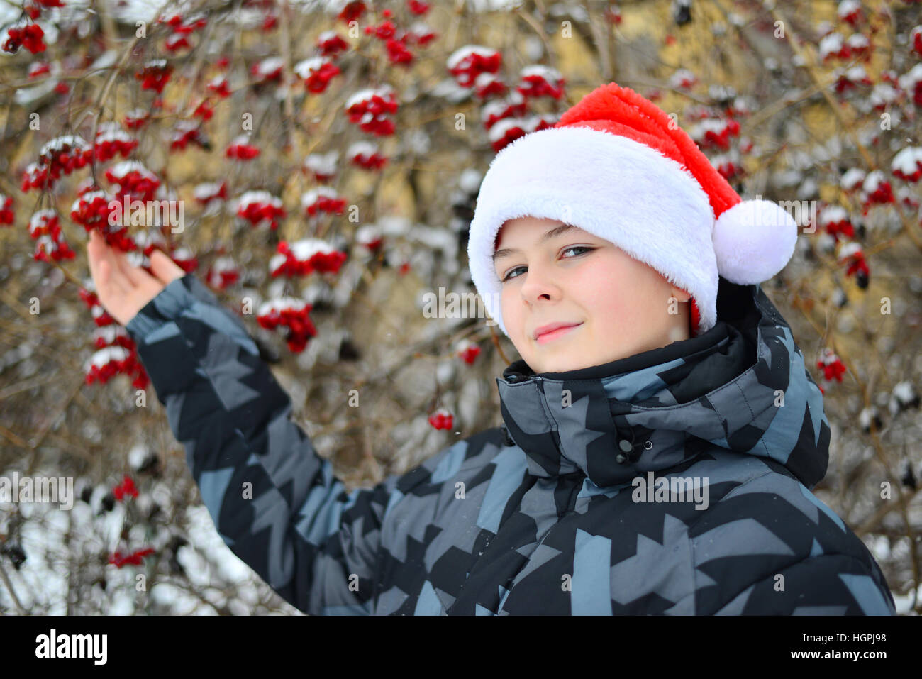 Teen in cap Santa Claus on background of Viburnum Stock Photo - Alamy