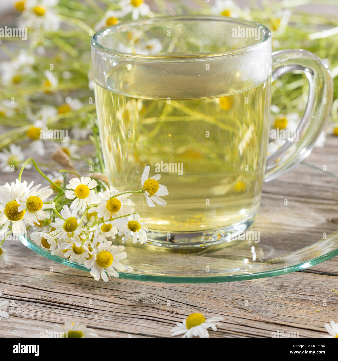 Kamillentee, Kamilletee, Kamillenblüten-Tee Kamilleblüten-Tee, Kamillen ...