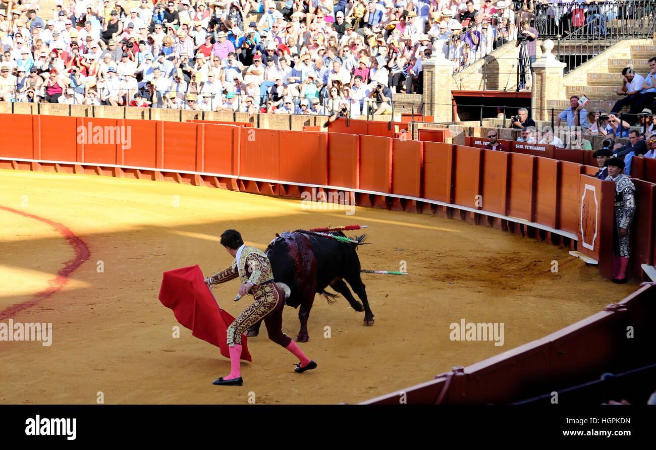 Bullfighting in Spanish Arena Stock Photo - Alamy