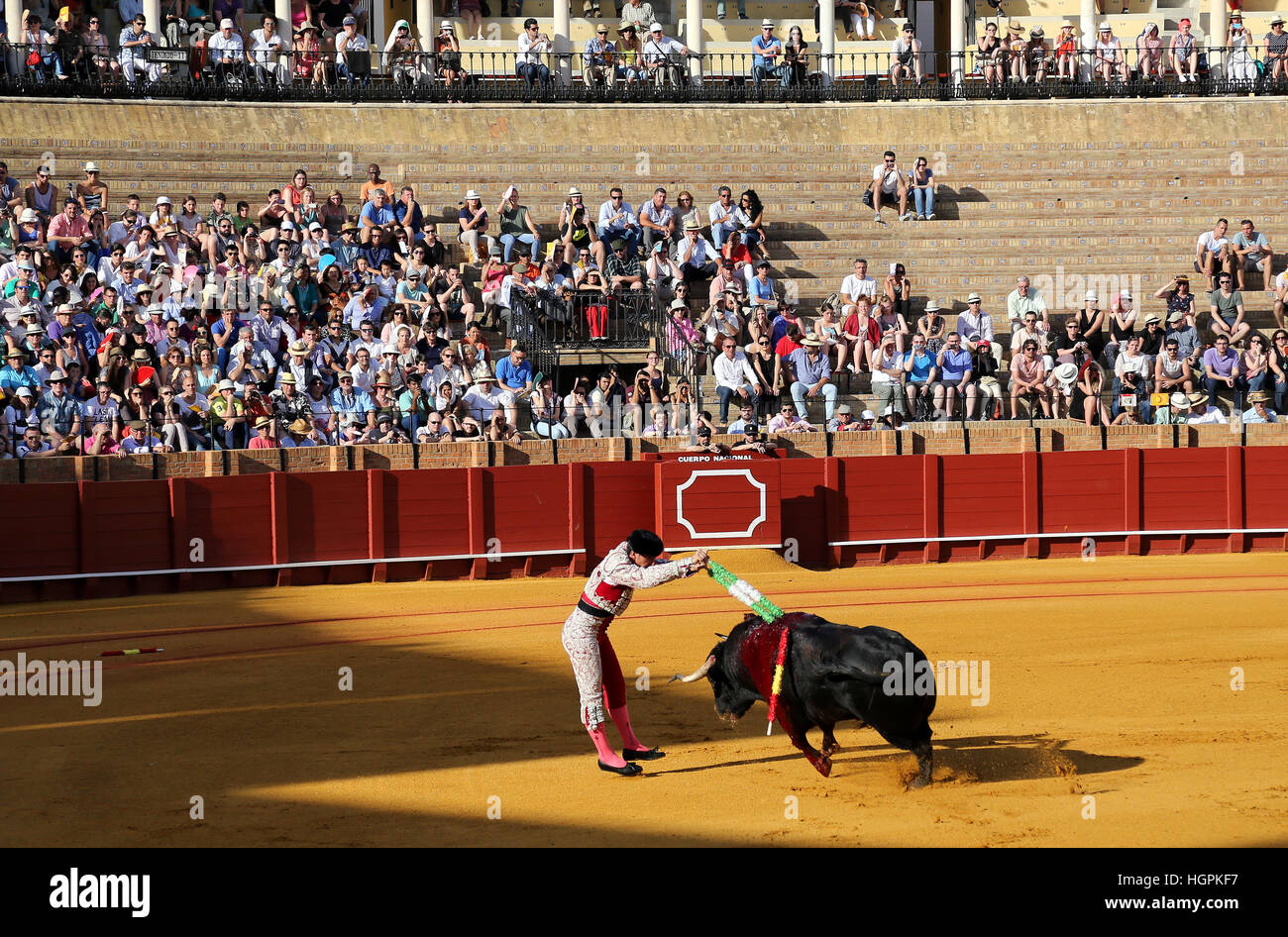 Bullfighting in Spanish Arena Stock Photo - Alamy