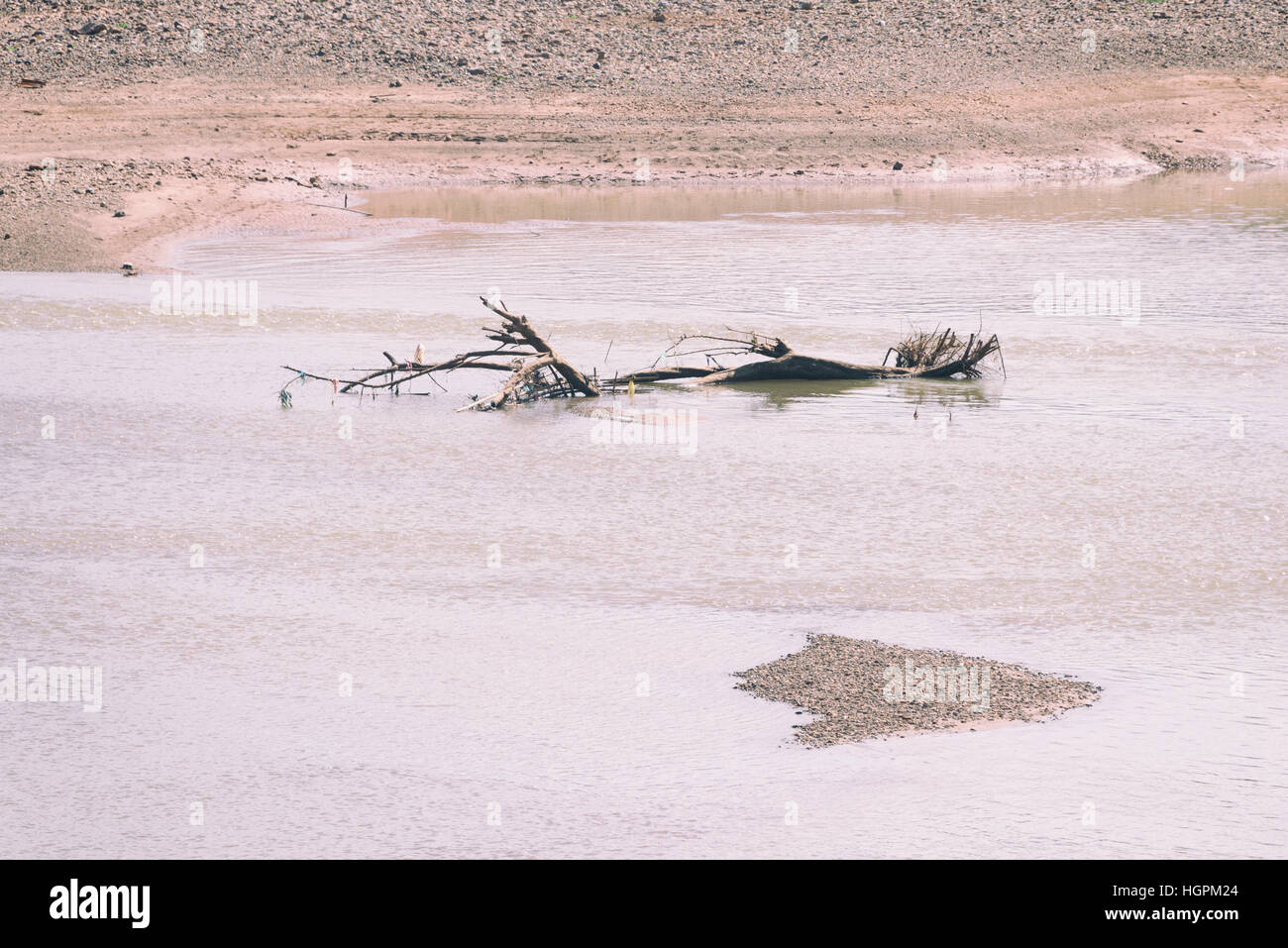 Tree branch on the river Stock Photo - Alamy