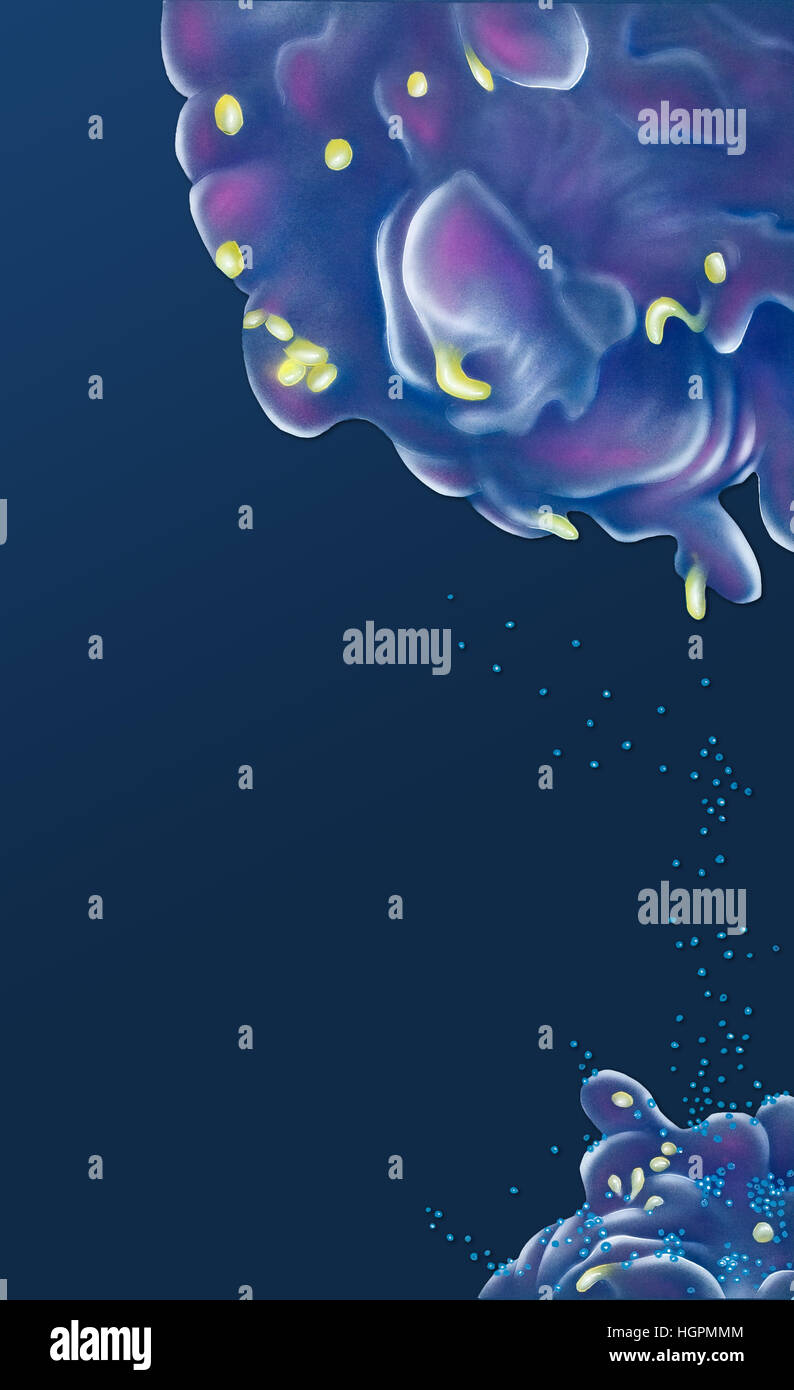 Viral replication hi-res stock photography and images - Alamy