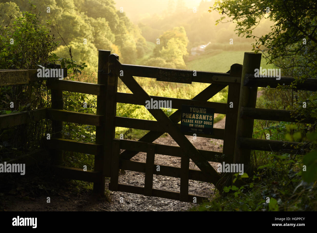 Farmers wooden gate in late summer rural exmoor, Somerset, England ...
