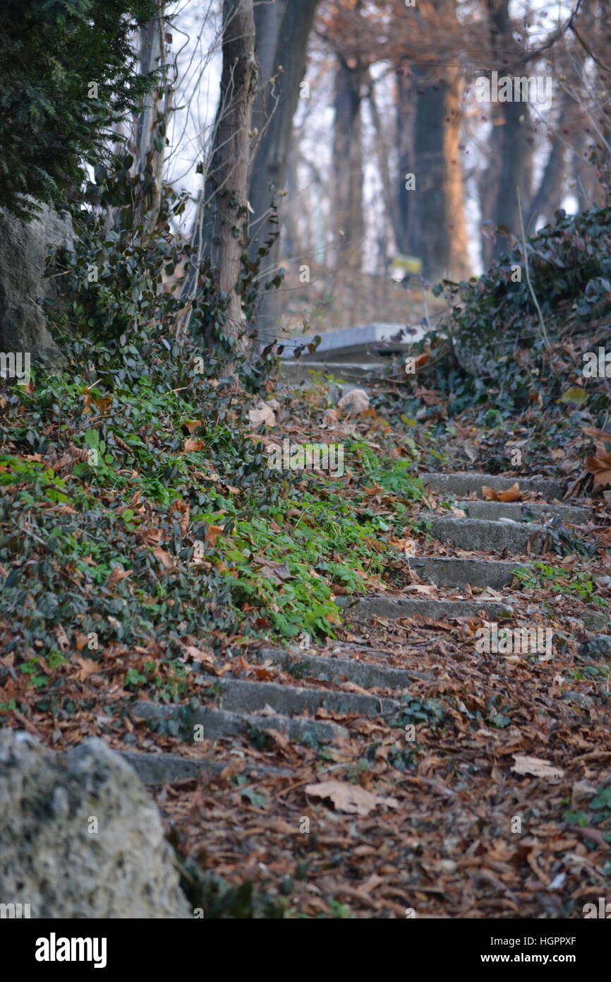 Stairs in the park Stock Photo - Alamy