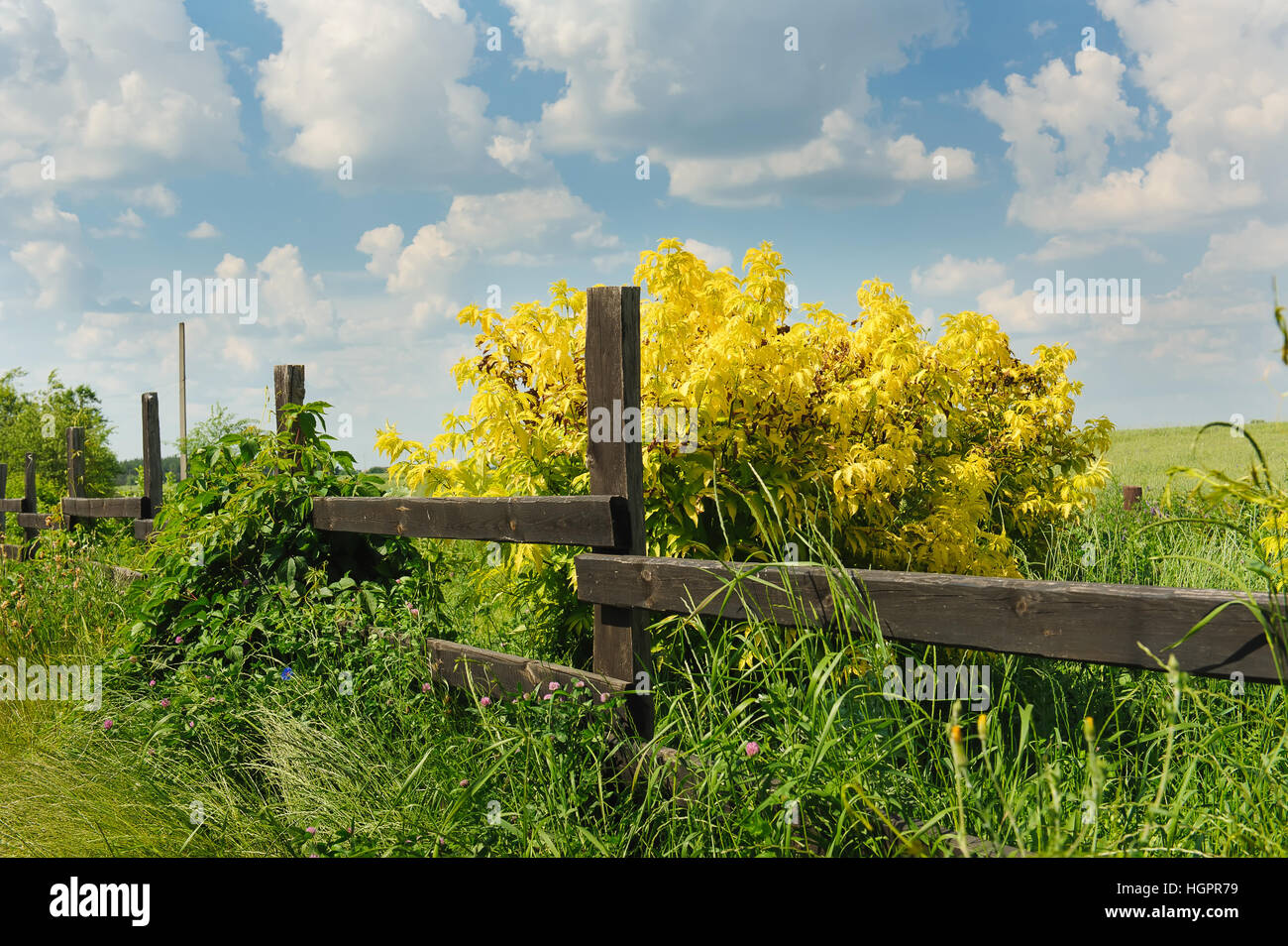 Wood fence with slit hi-res stock photography and images - Alamy
