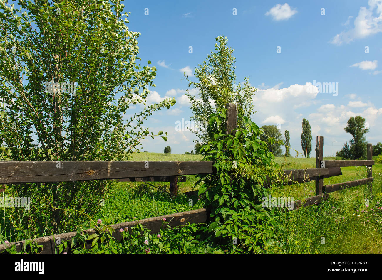 Timber fence hi-res stock photography and images - Alamy