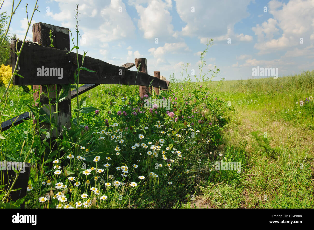Old fence along rural road Stock Photo - Alamy