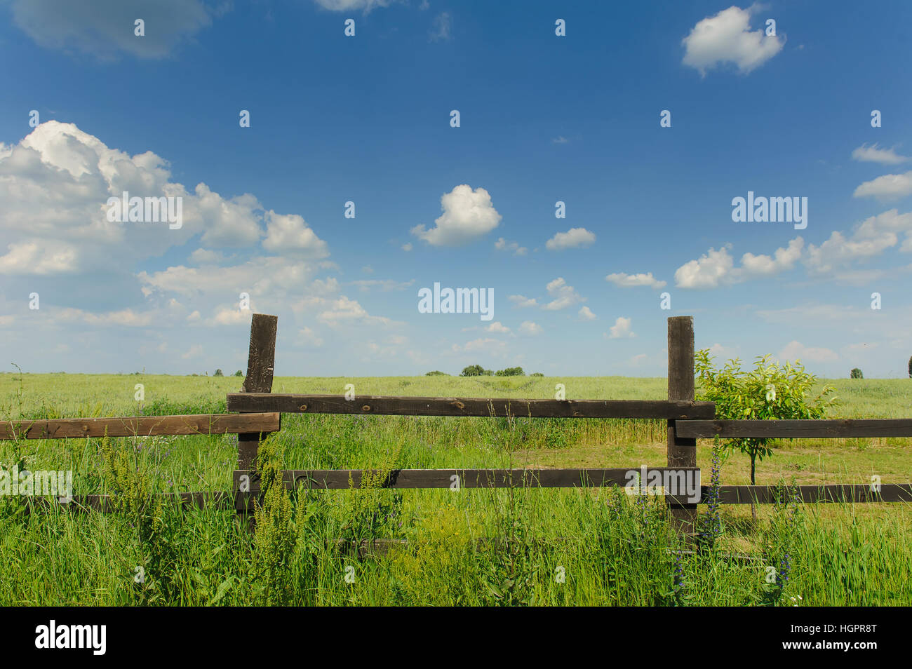 Country Timber Fence Stock Photo - Alamy
