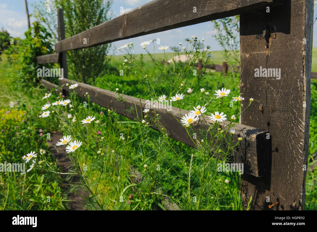 Wood fence with slit hi-res stock photography and images - Alamy