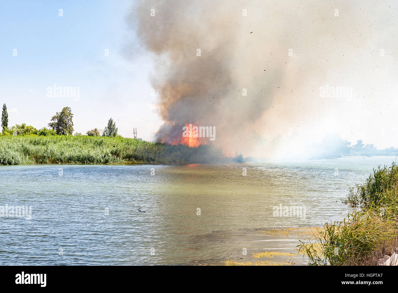 A wildfire burning in the reeds next to the Riet River (reed river) at ...