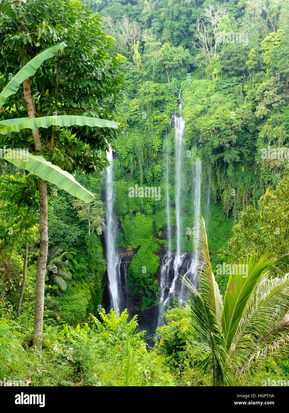 Wasserfall von Sekumpul Stock Photo - Alamy