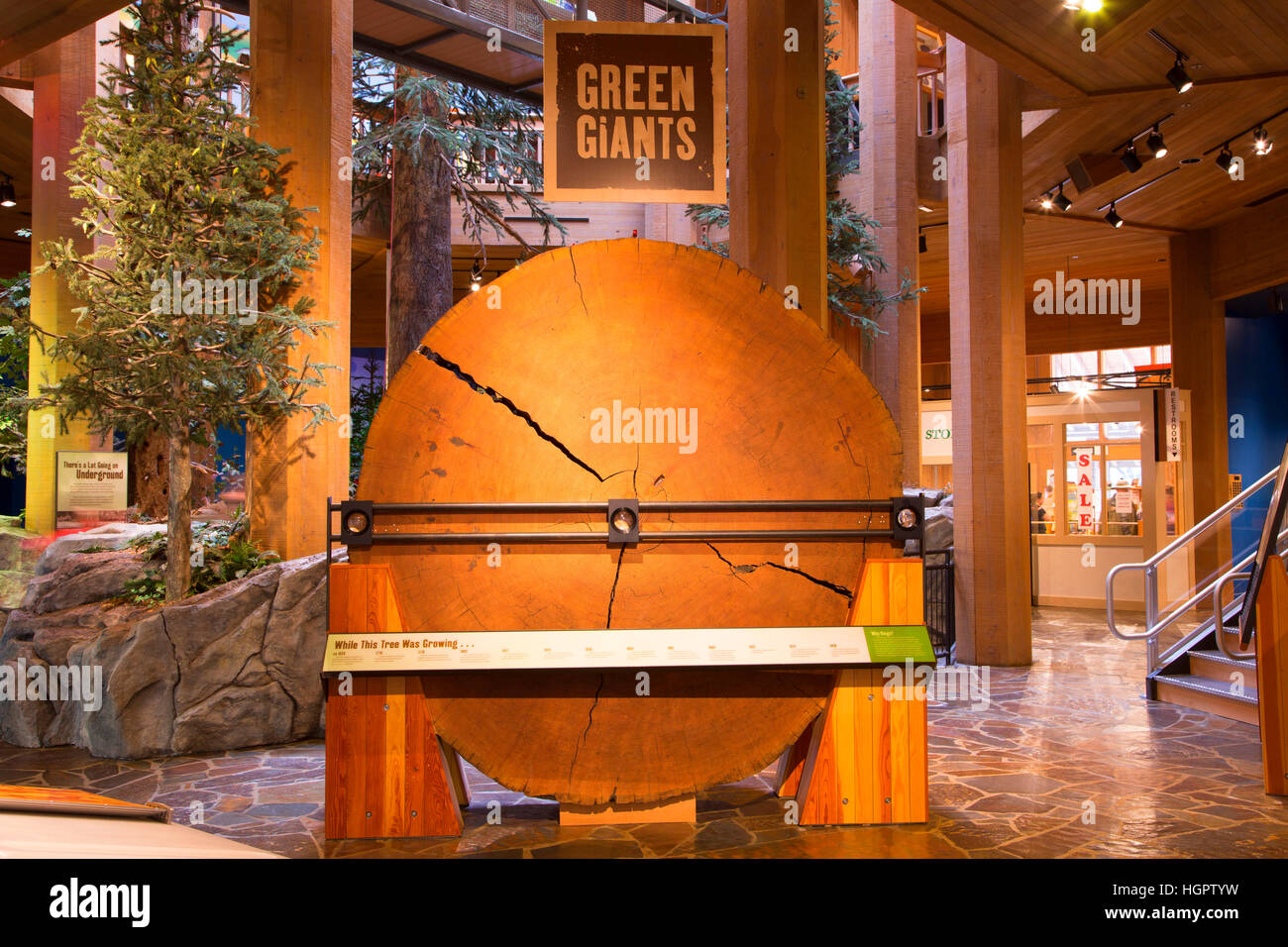 World Forestry Center display, Washington Park, Portland, Oregon Stock ...