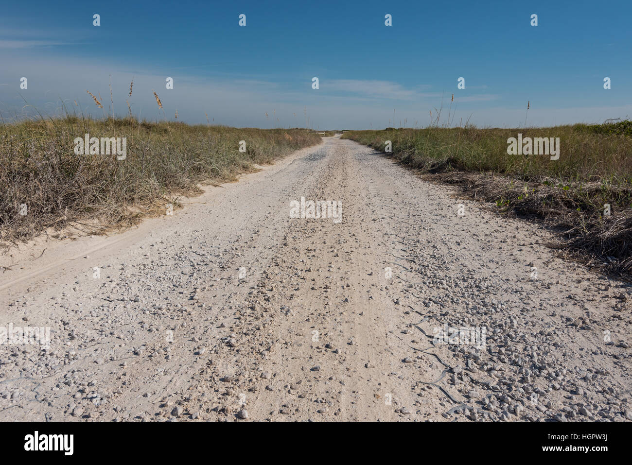 Landscape along sandy road hi-res stock photography and images - Alamy