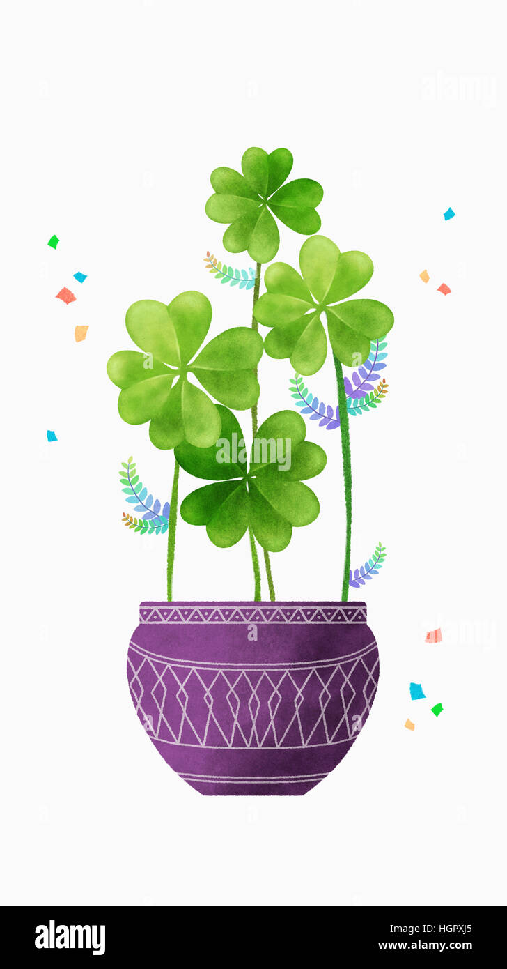 Planted four-leaf clovers in pot Stock Photo - Alamy