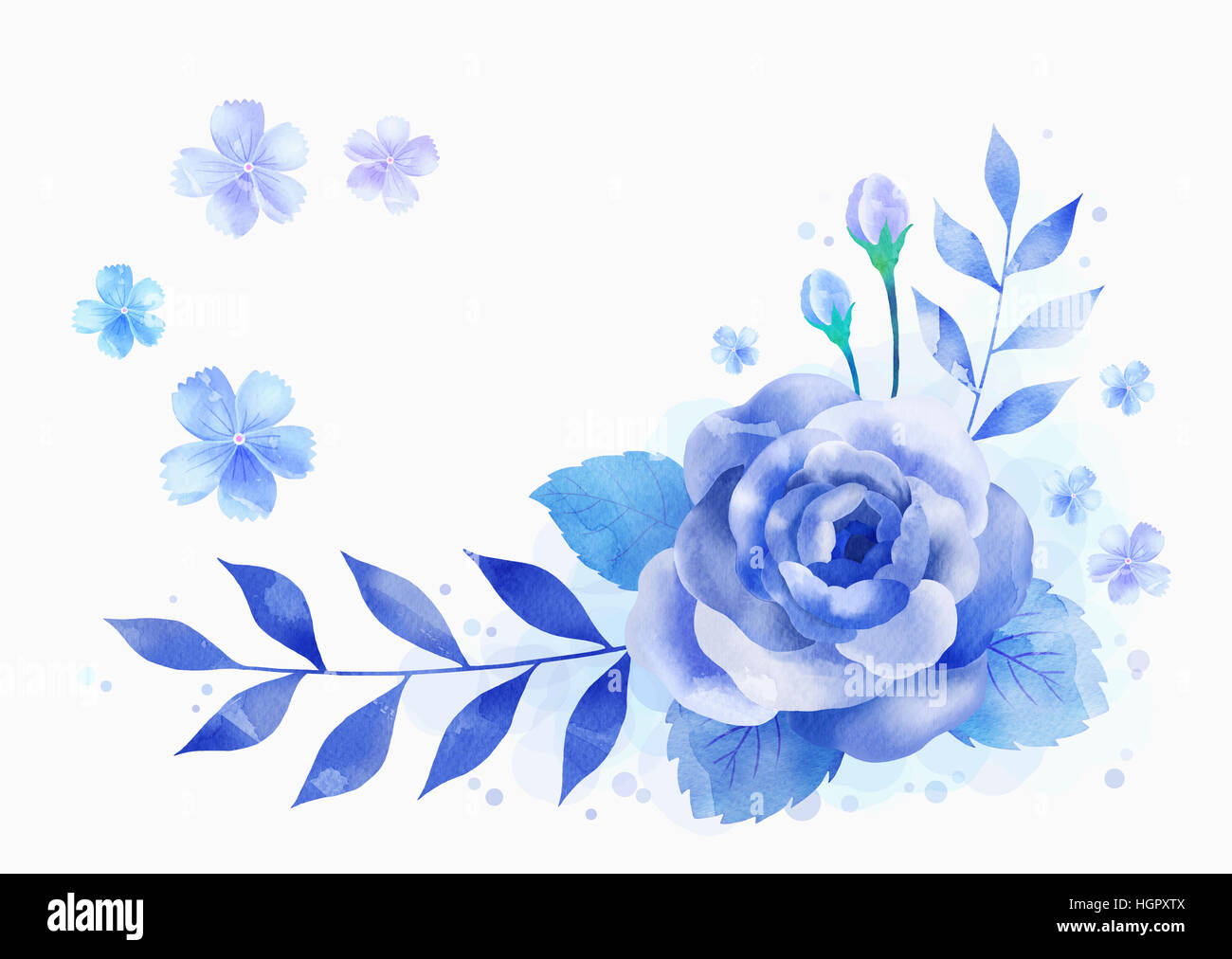 Background of summer with watercolor blue roses Stock Photo - Alamy