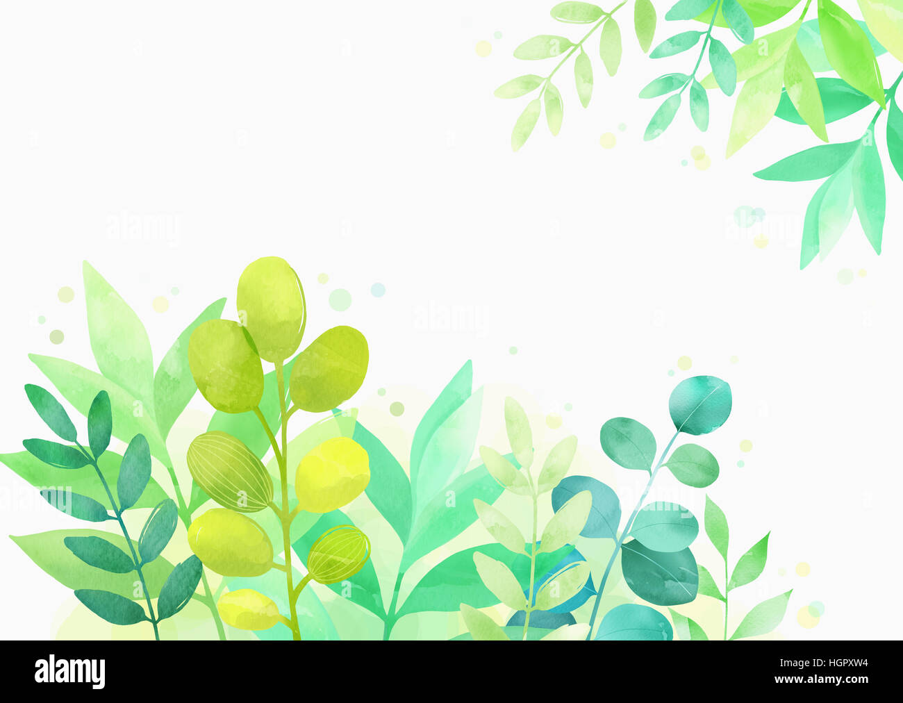 Watercolor green plants in summer Stock Photo - Alamy