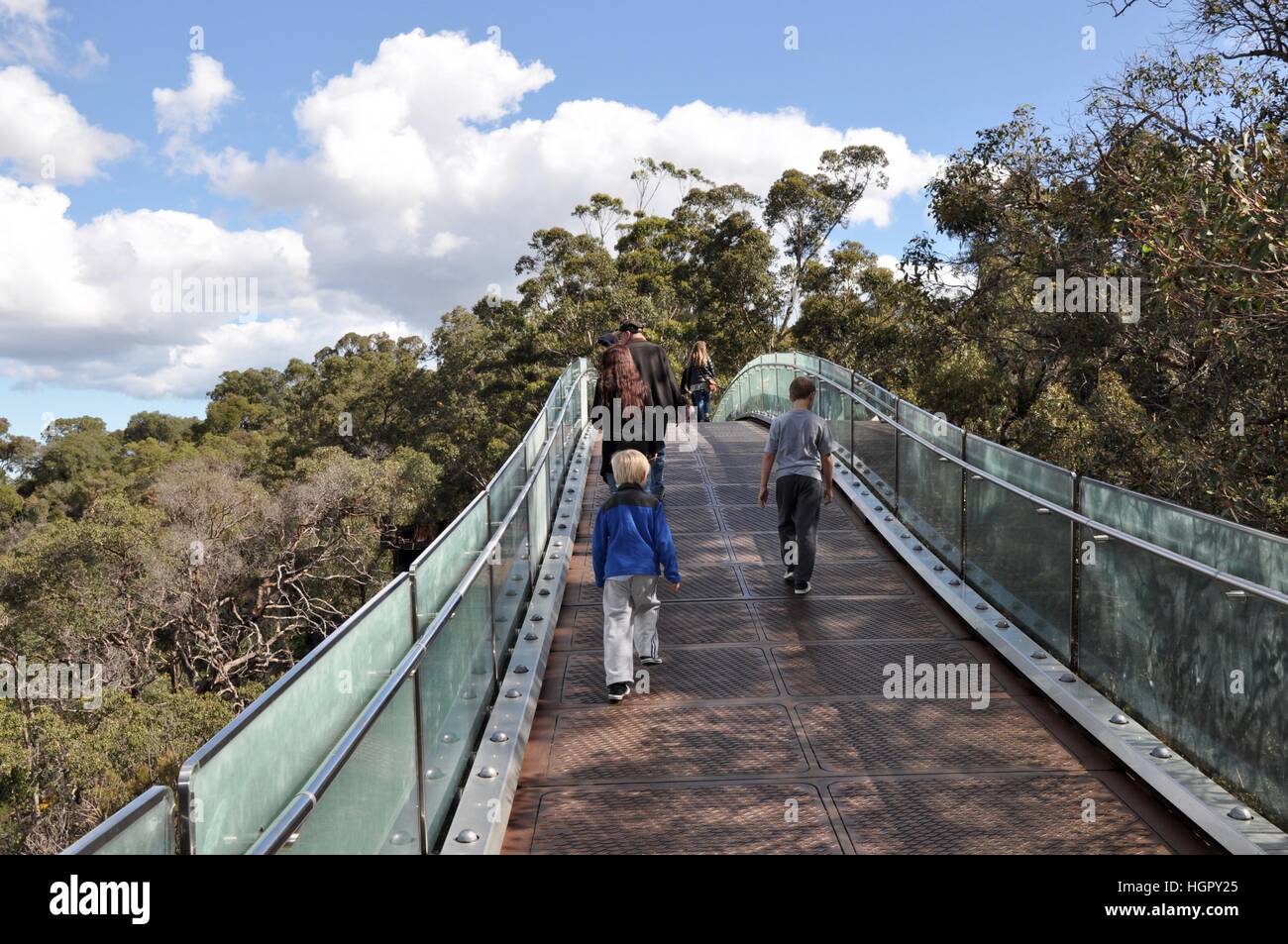 Bridge in tree tops hi-res stock photography and images - Alamy
