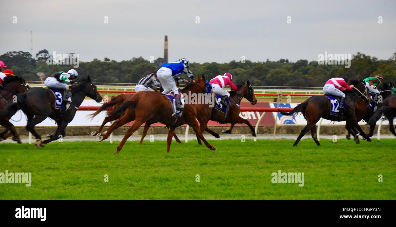 Belmont racetrack hi-res stock photography and images - Alamy