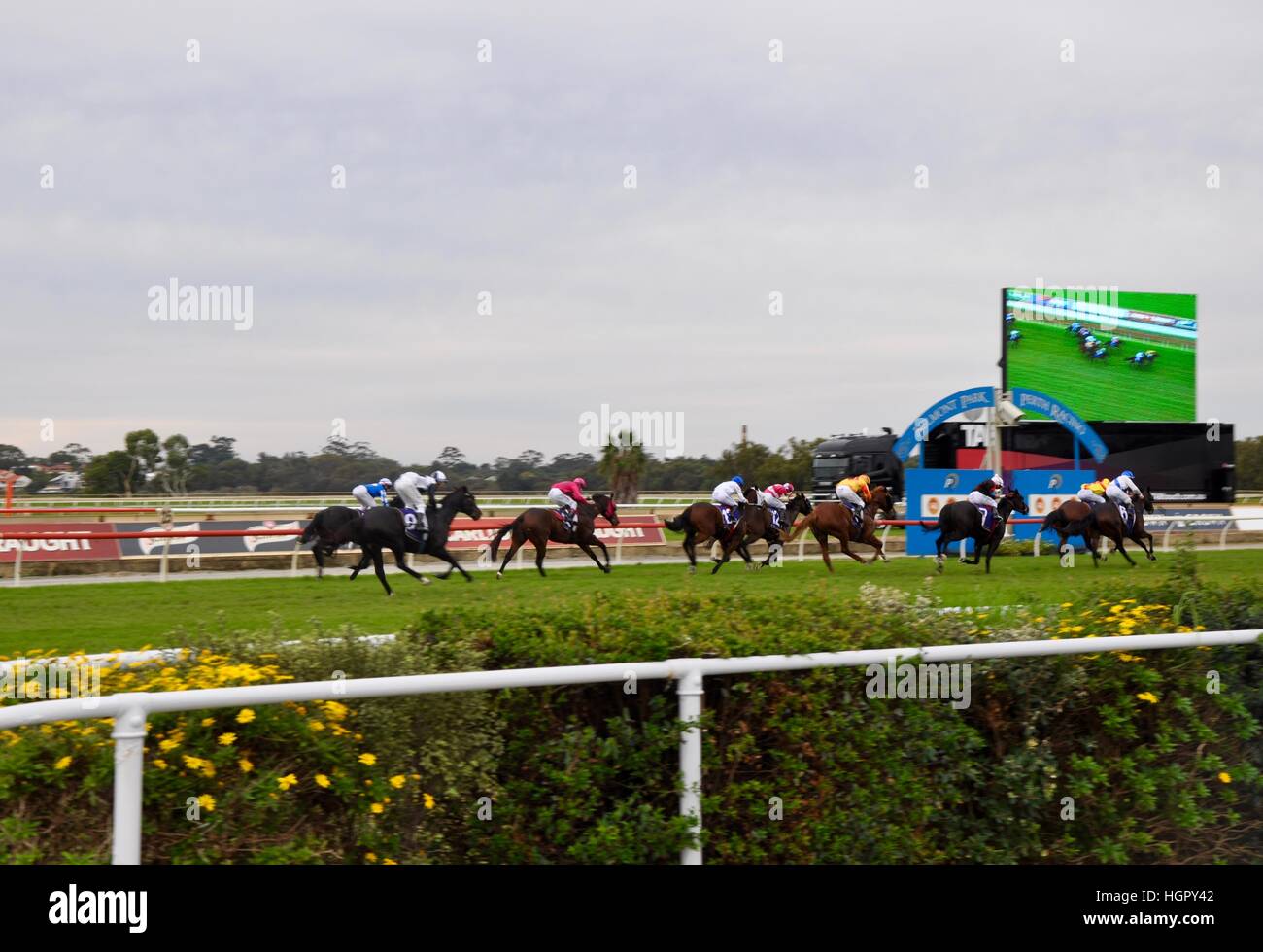 Belmont track hi-res stock photography and images - Alamy