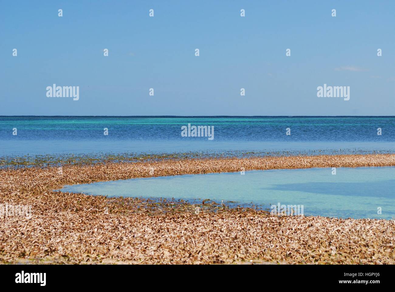 Sea swirls hi-res stock photography and images - Alamy