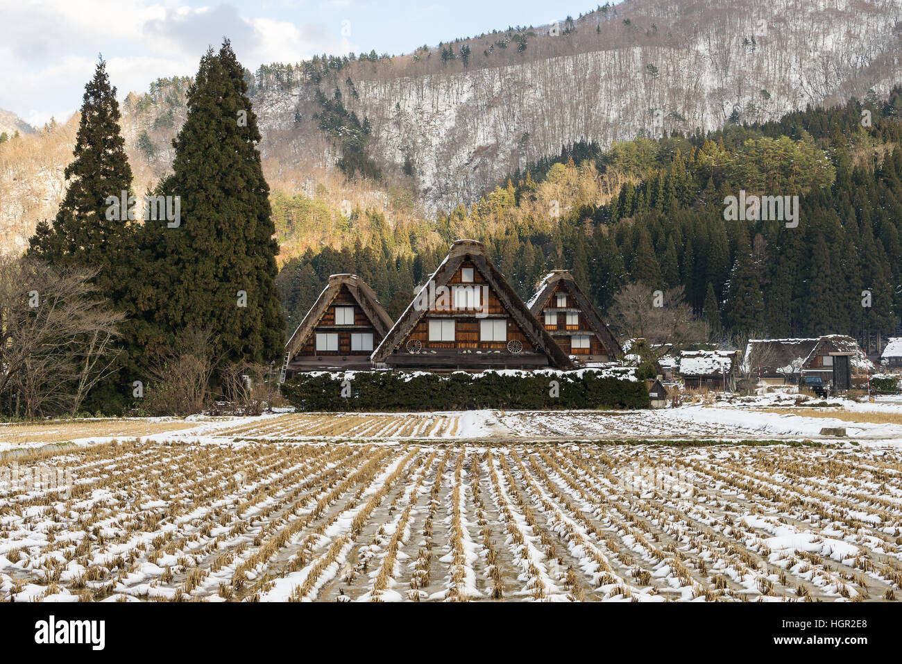 Gassho Zukuri (Gassho-style) House in Shirakawa-Go in Gifu, Japan Stock ...