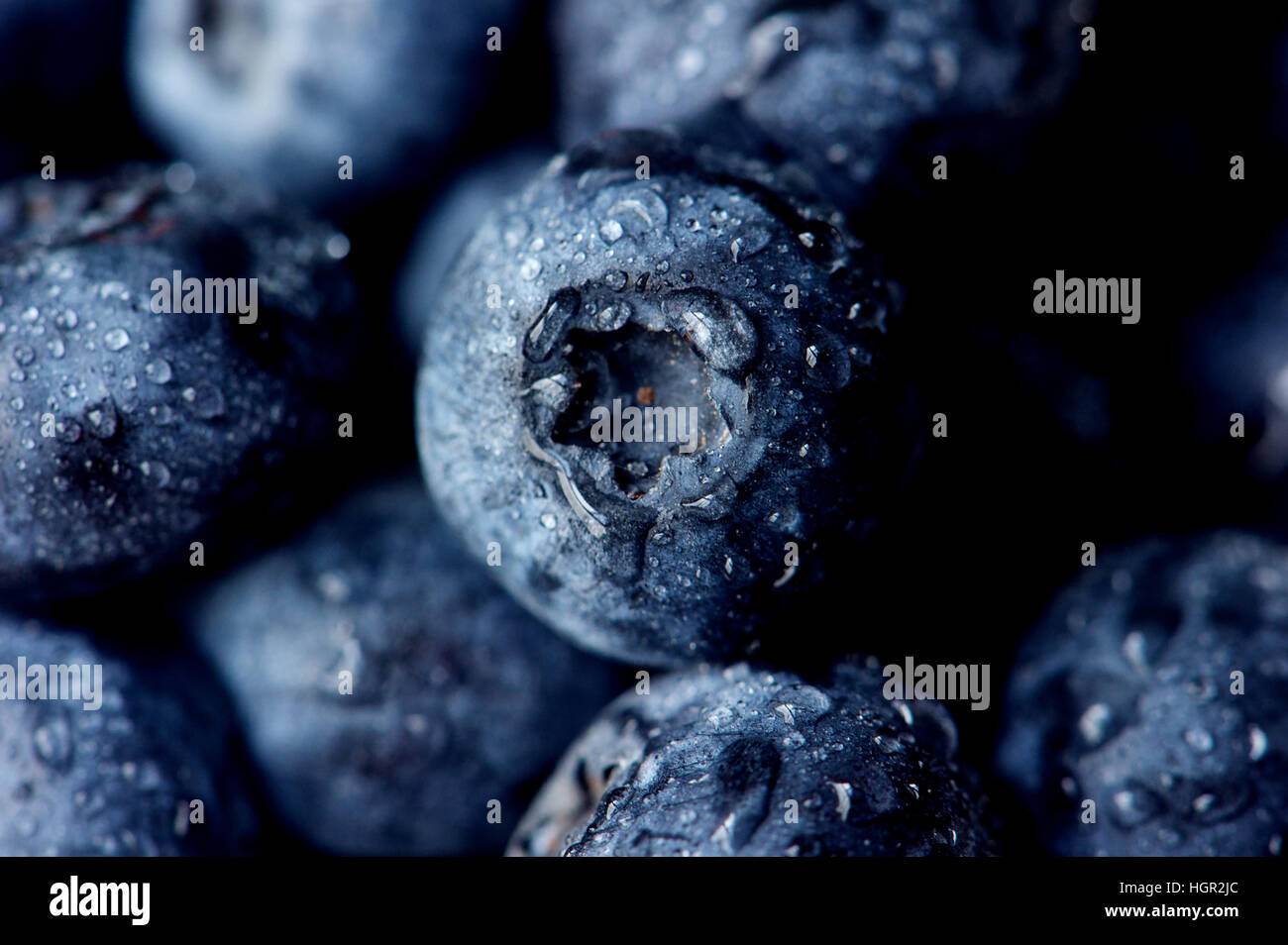 Cultivated bilberries hi-res stock photography and images - Alamy