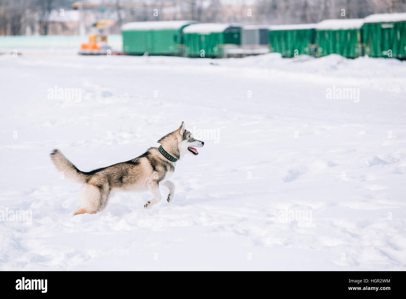 Acactive hi-res stock photography and images - Alamy