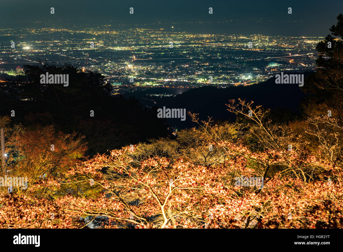 Night fall leaves hi-res stock photography and images - Alamy