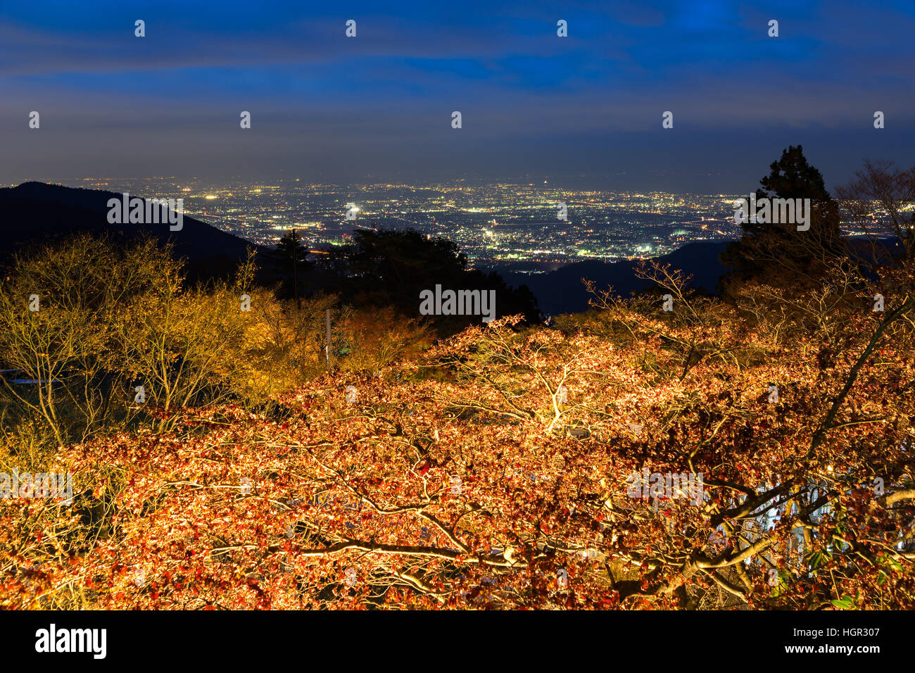 Night fall leaves hi-res stock photography and images - Alamy
