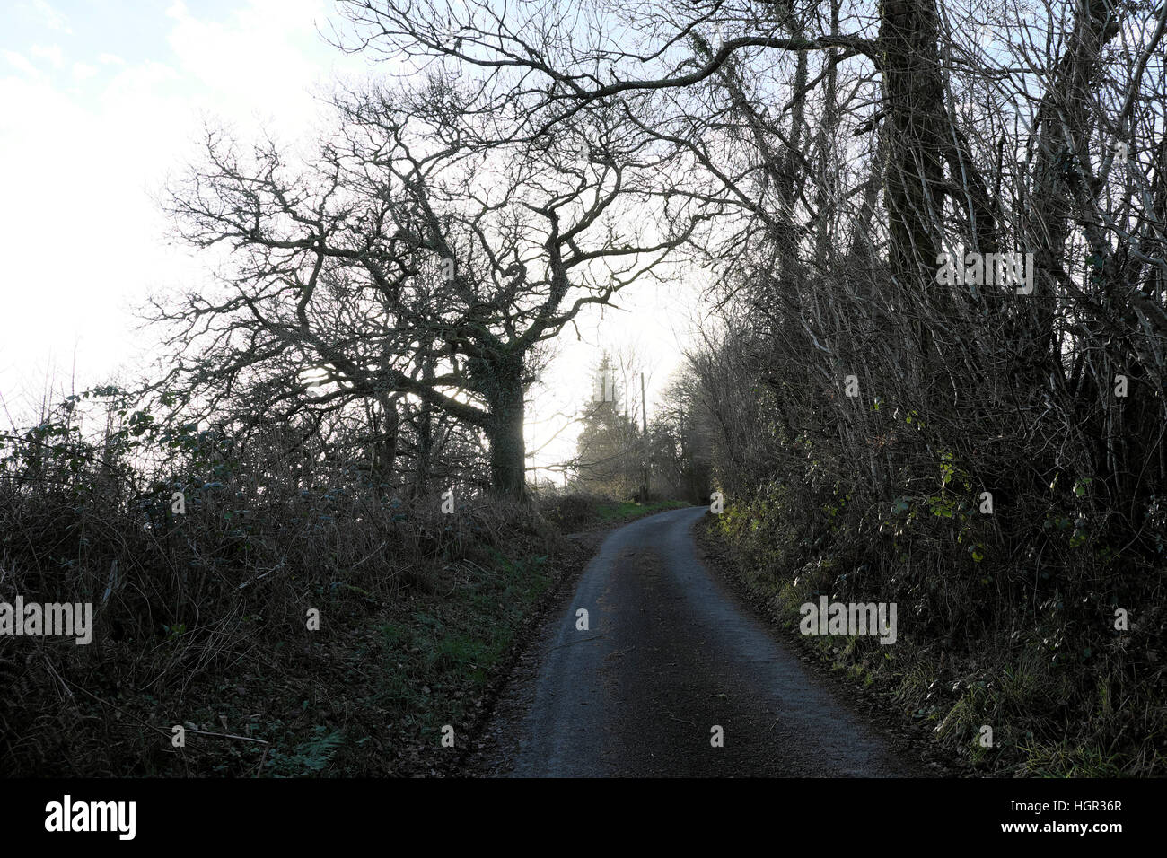 Welsh country lanes hi-res stock photography and images - Alamy