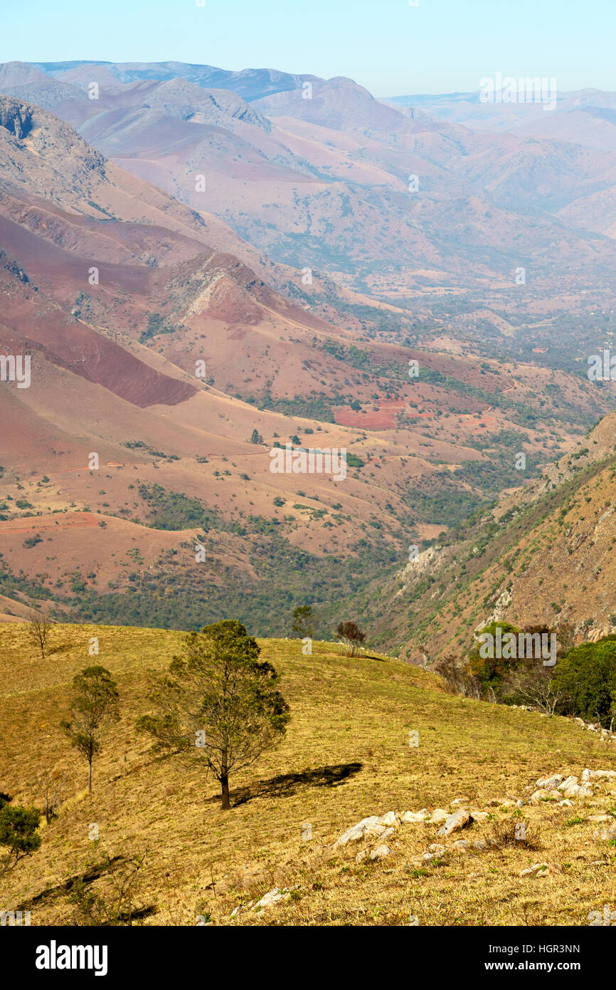 blur in swaziland mlilwane wildlife nature reserve mountain and tree ...