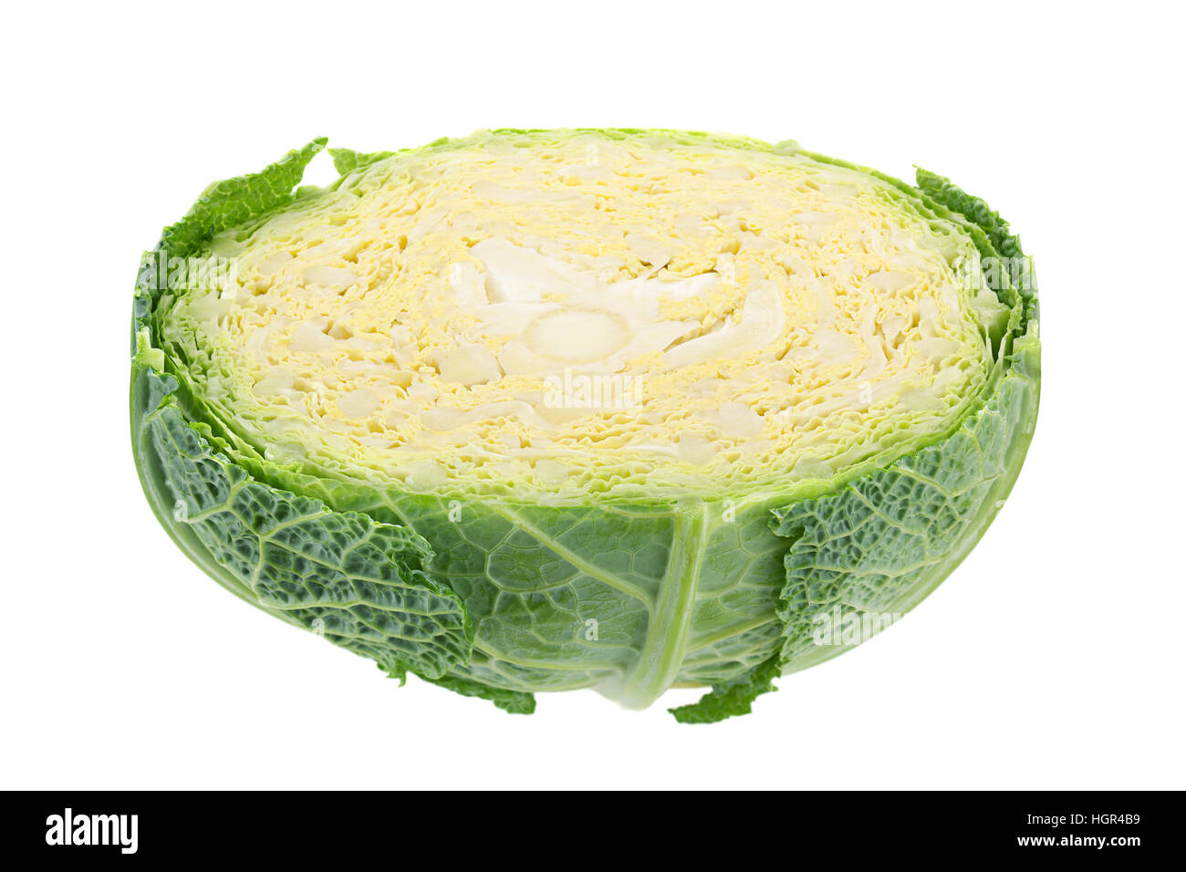Savoy cabbage vegetable isolated on white background Stock Photo - Alamy