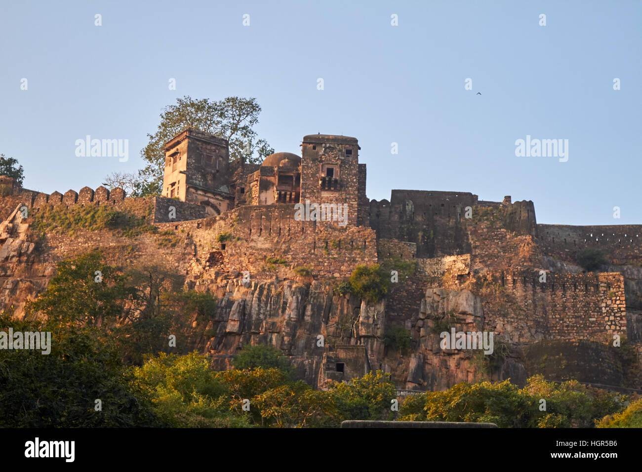 Old fort at the Ranthambore National Park in Rajasthan, India Stock ...