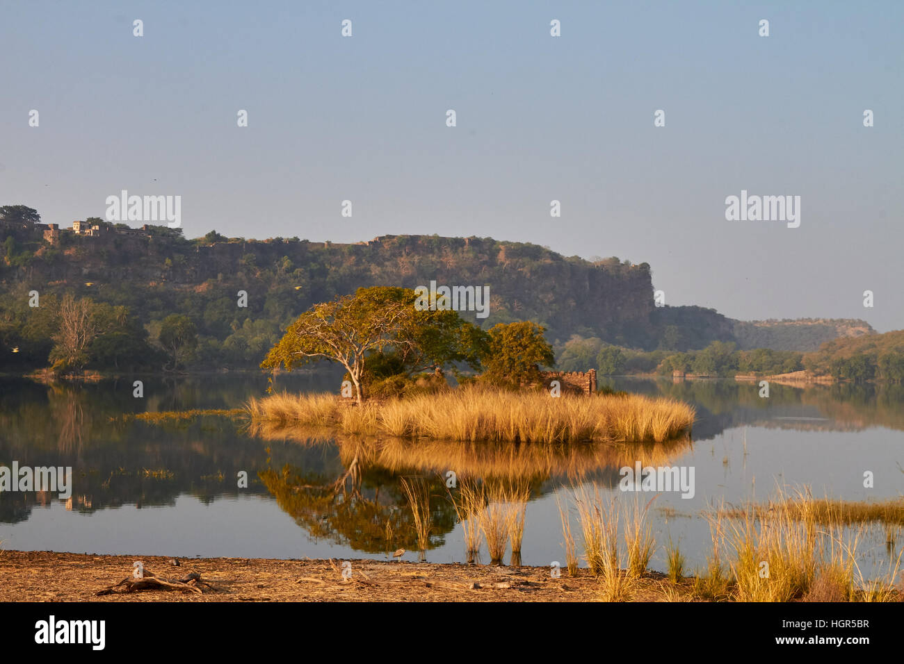 Ranthambore tiger ruins hi-res stock photography and images - Alamy