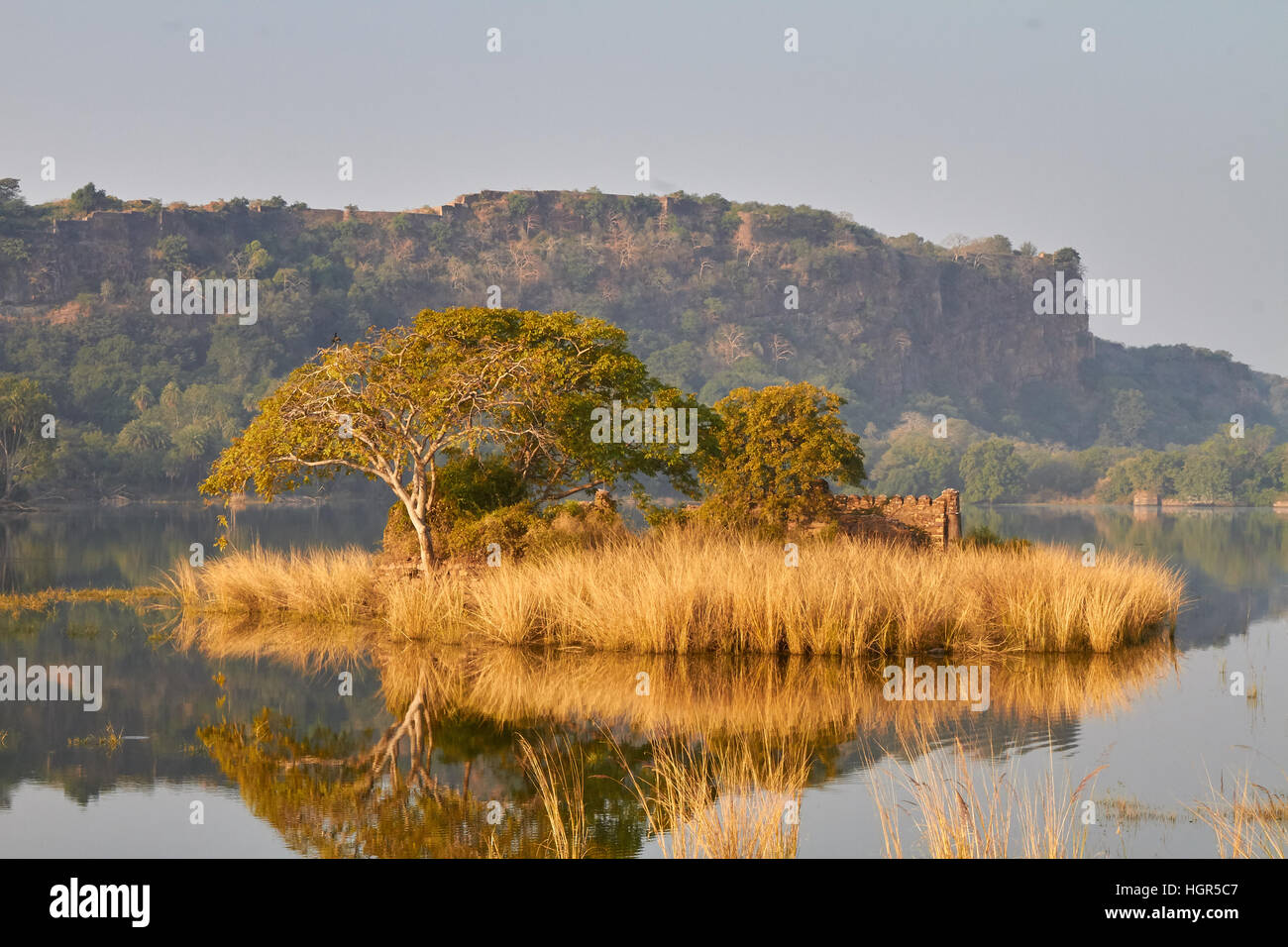 Lake in Ranthambhore national park Stock Photo - Alamy