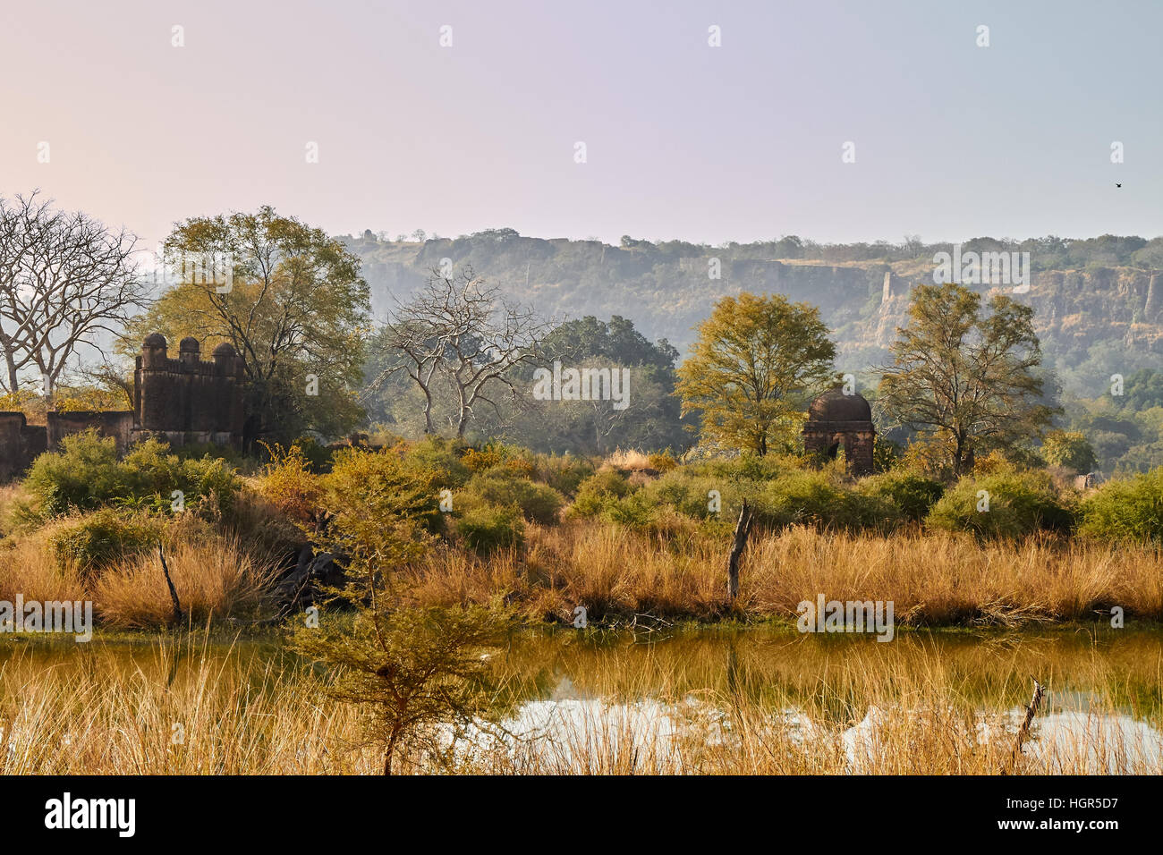 Lake in Ranthambhore national park Stock Photo - Alamy