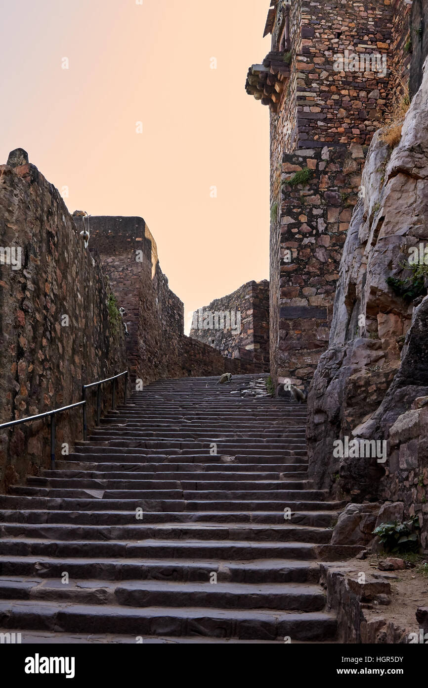 Old fort at the Ranthambore National Park in Rajasthan, India Stock ...