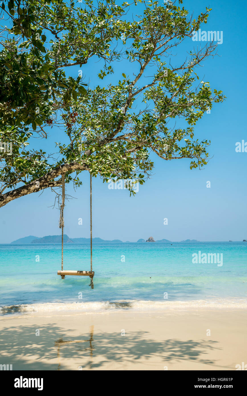 swing hang on big tree over beach sea background, Nyaung Oo Phee ...