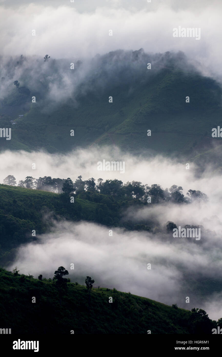 Fog flow at tropical rain forest and mountain landscape Stock Photo - Alamy