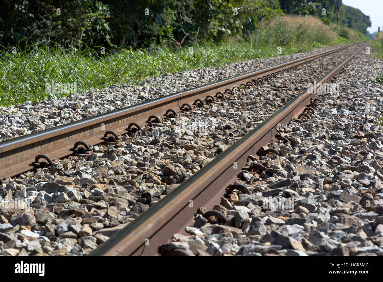 Railway diagonal line nature tree beside outdoor landscape Stock Photo ...