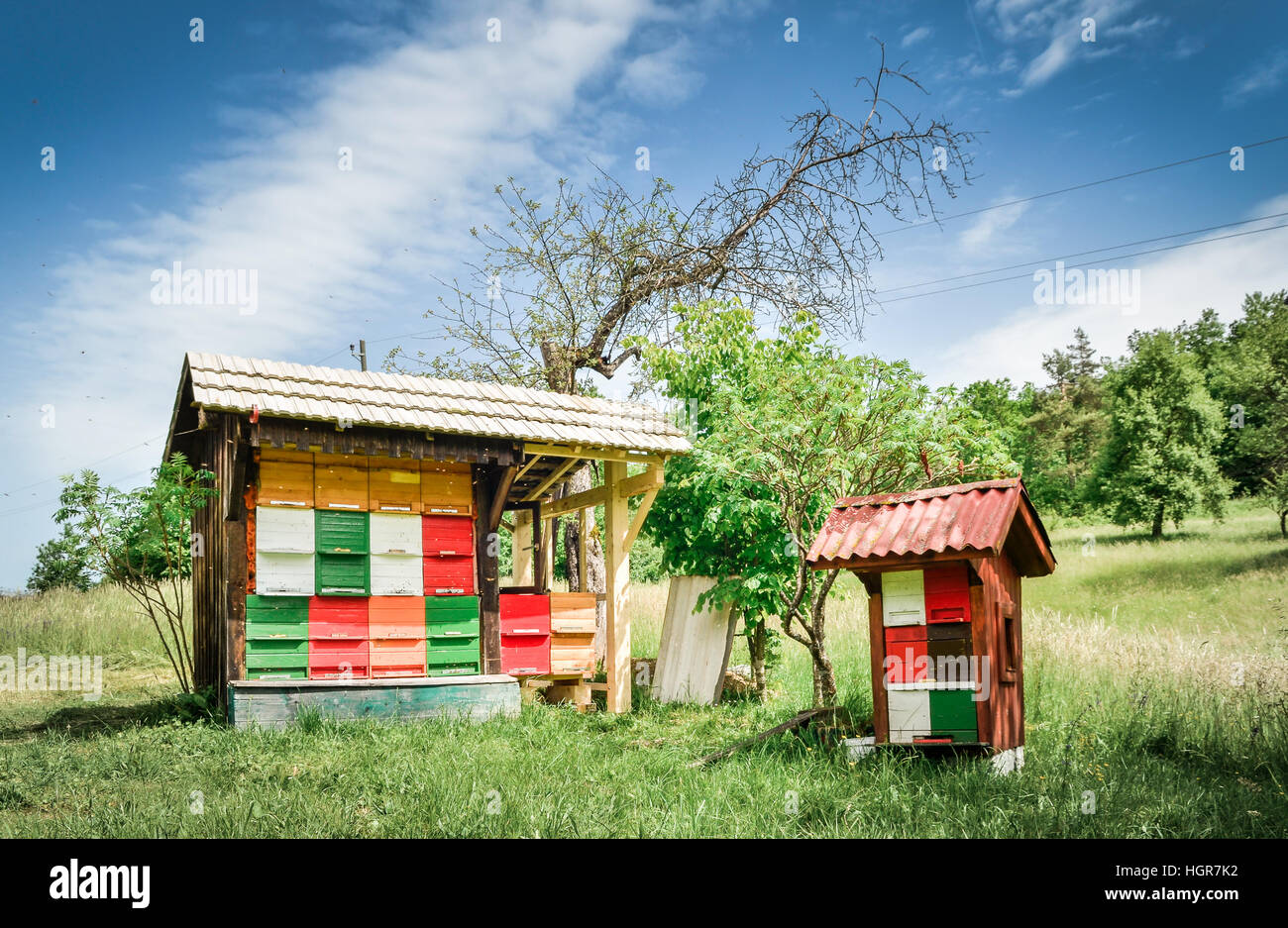 Homemade bee hive in the meadow on Slovenia, Europe Stock Photo - Alamy