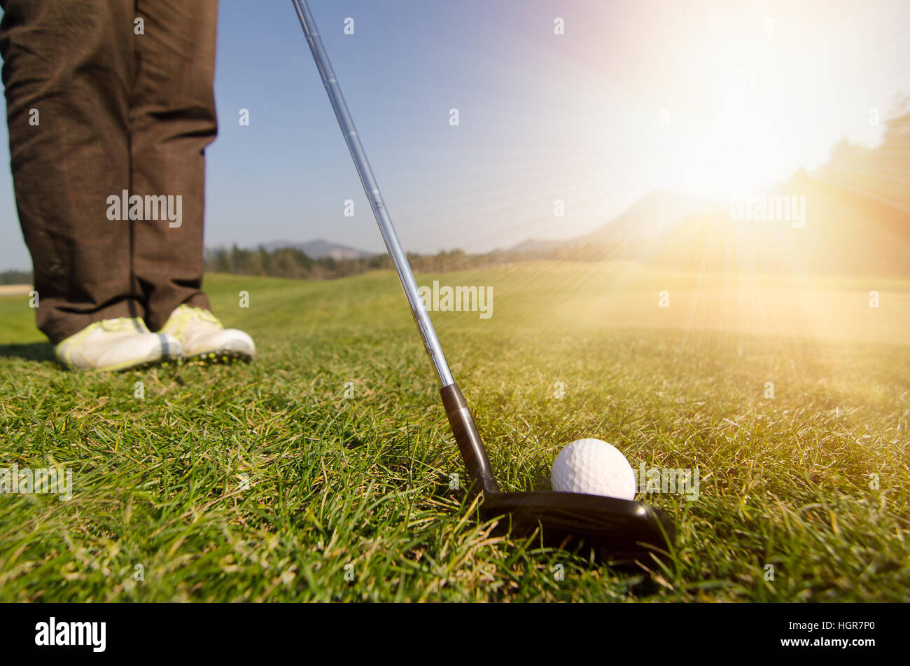 Golfer is chipping a golf ball onto the green with driver golf club ...