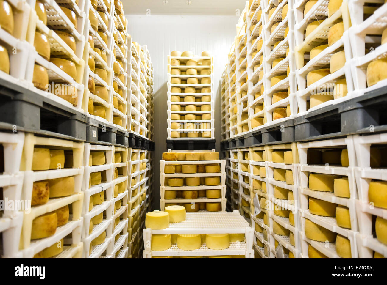 Interior room and cheese plant hi-res stock photography and images - Alamy