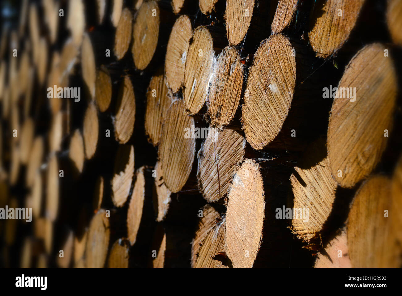 Log pile texture hi-res stock photography and images - Alamy