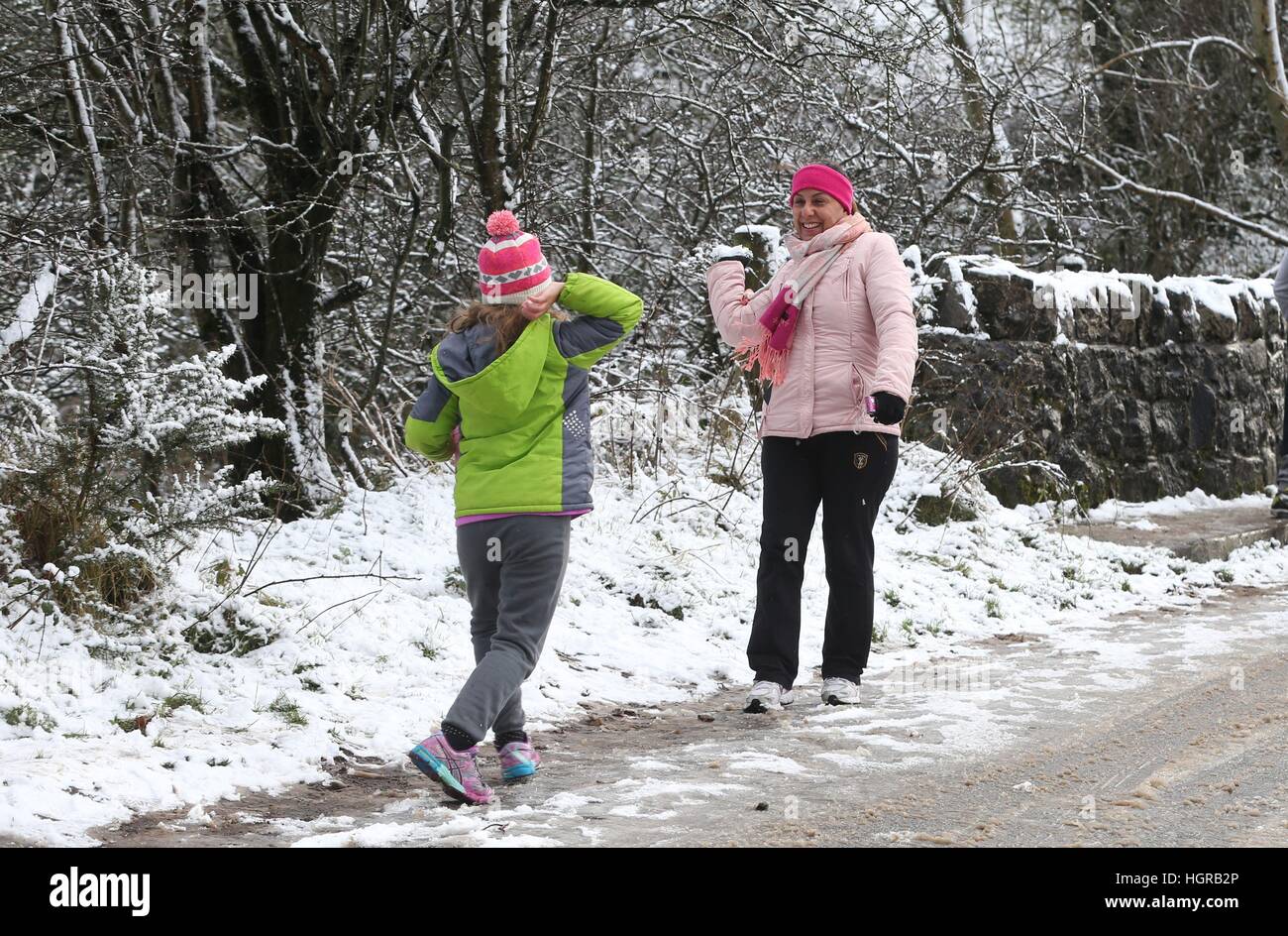 Tourist throw Snowballs at The Dark Hedges in Co Antrim, as blizzard ...