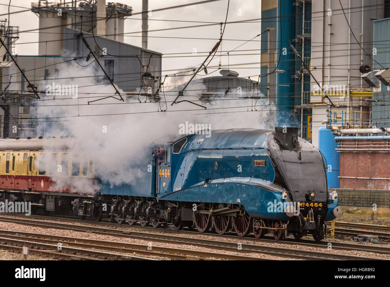 LNER Class A4 4464 Bittern steam locomotive hauls The Cambrian Ranger ...