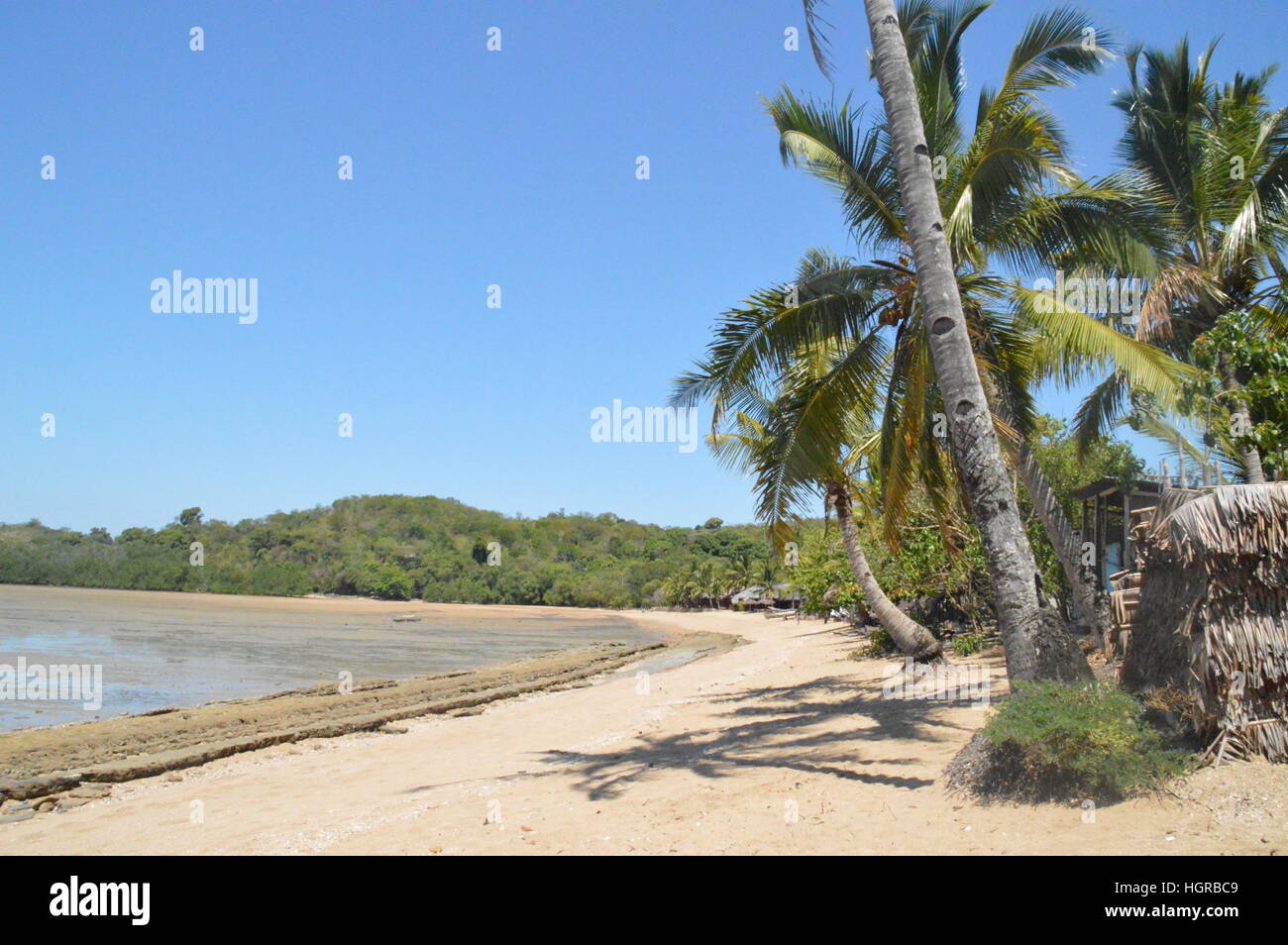 Lokobe island madagascar hi-res stock photography and images - Alamy