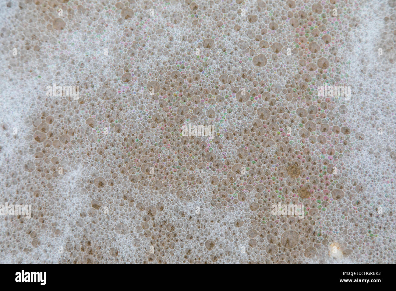 Sea foam, it is formed by strong wind and organic particles on the ...