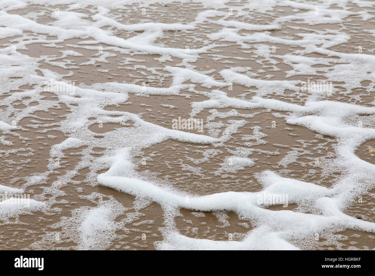 Sea foam, it is formed by strong wind and organic particles on the ...