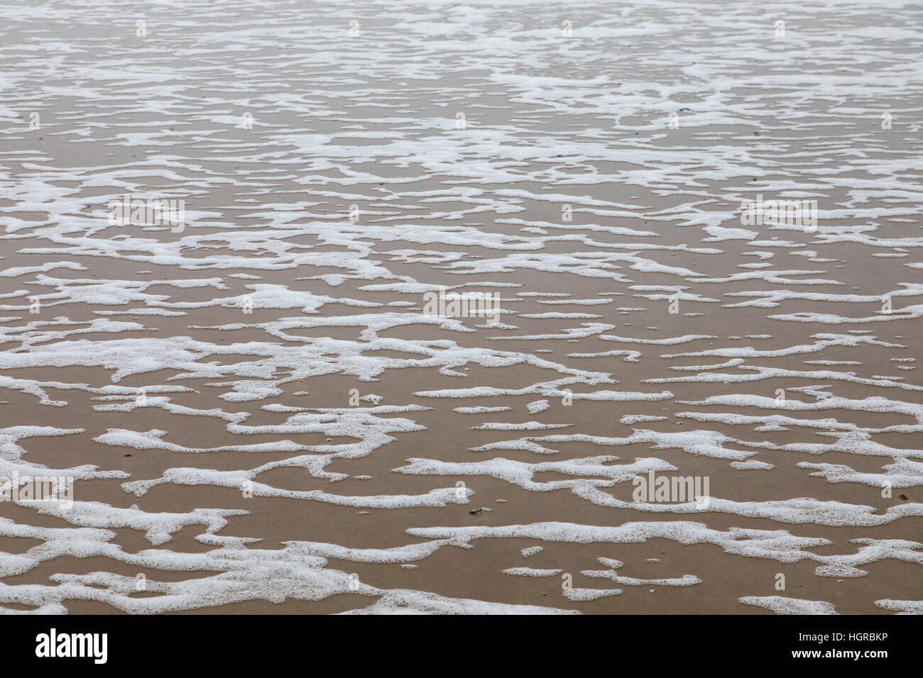 Sea foam, it is formed by strong wind and organic particles on the ...